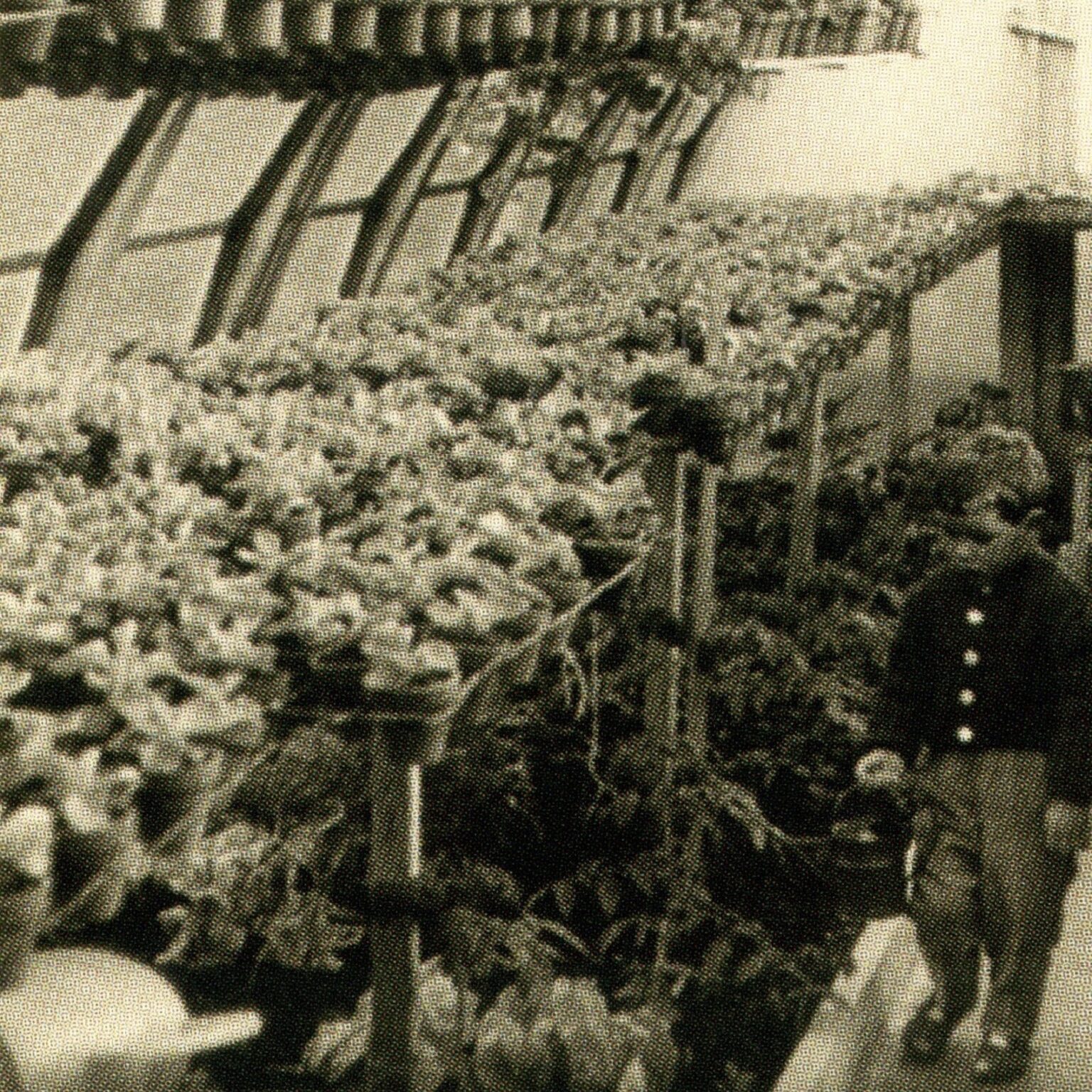 Geschichte – Geiers Gartenwelt